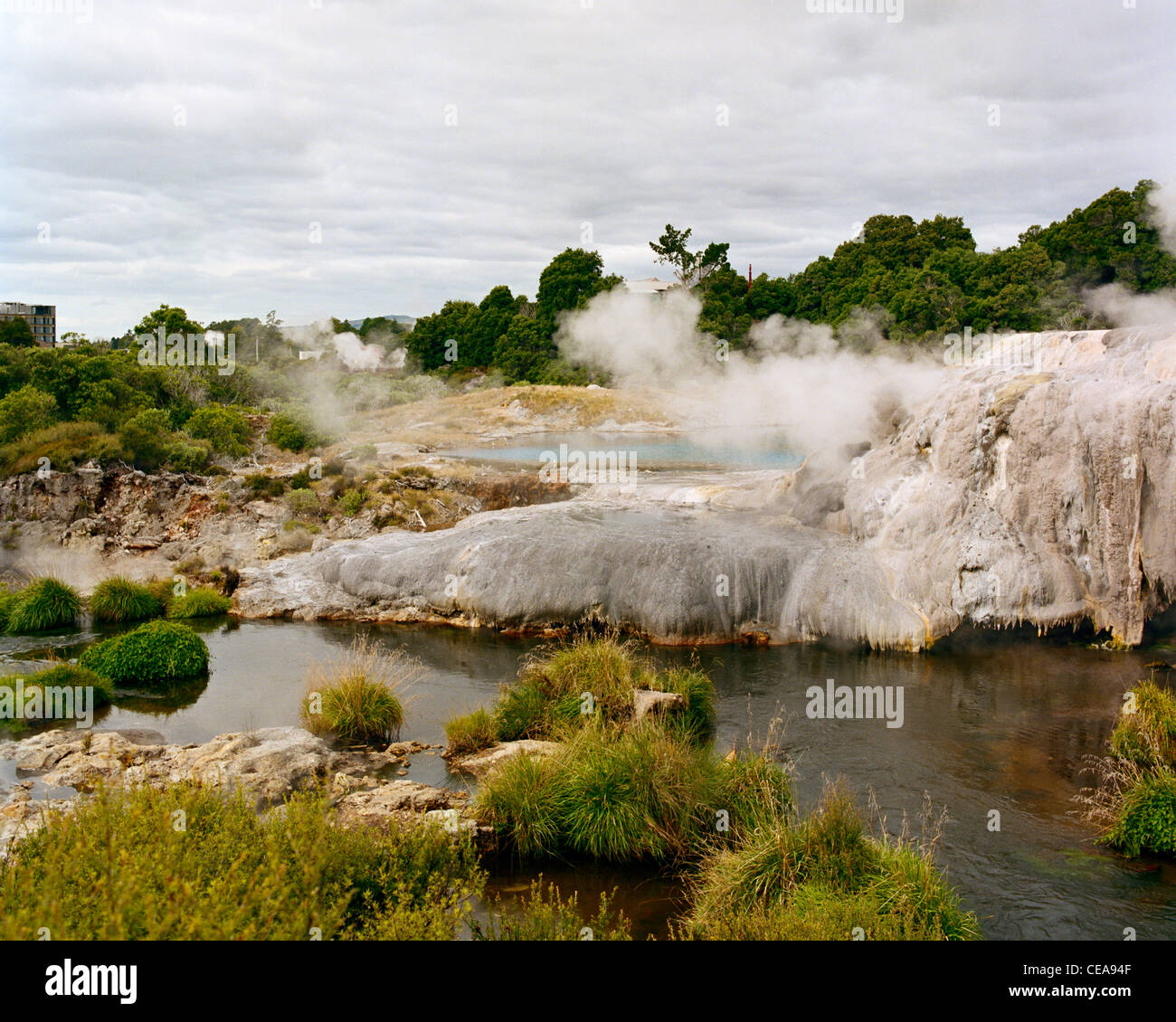 Hot mineral pools Whakarewarewa Thermal Reserve Rotorua New Zealand ...