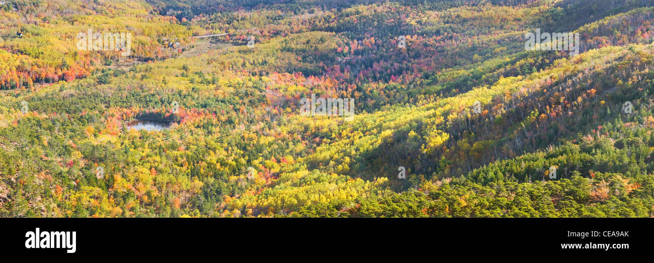 Panorama of fall Color in Acadia National Park Stock Photo - Alamy