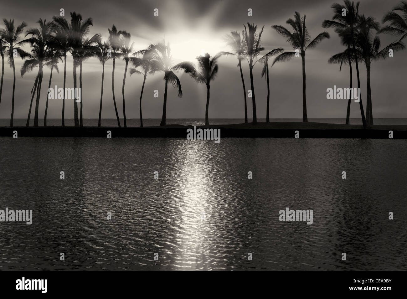 Palm trees sunset tropical hi-res stock photography and images - Alamy