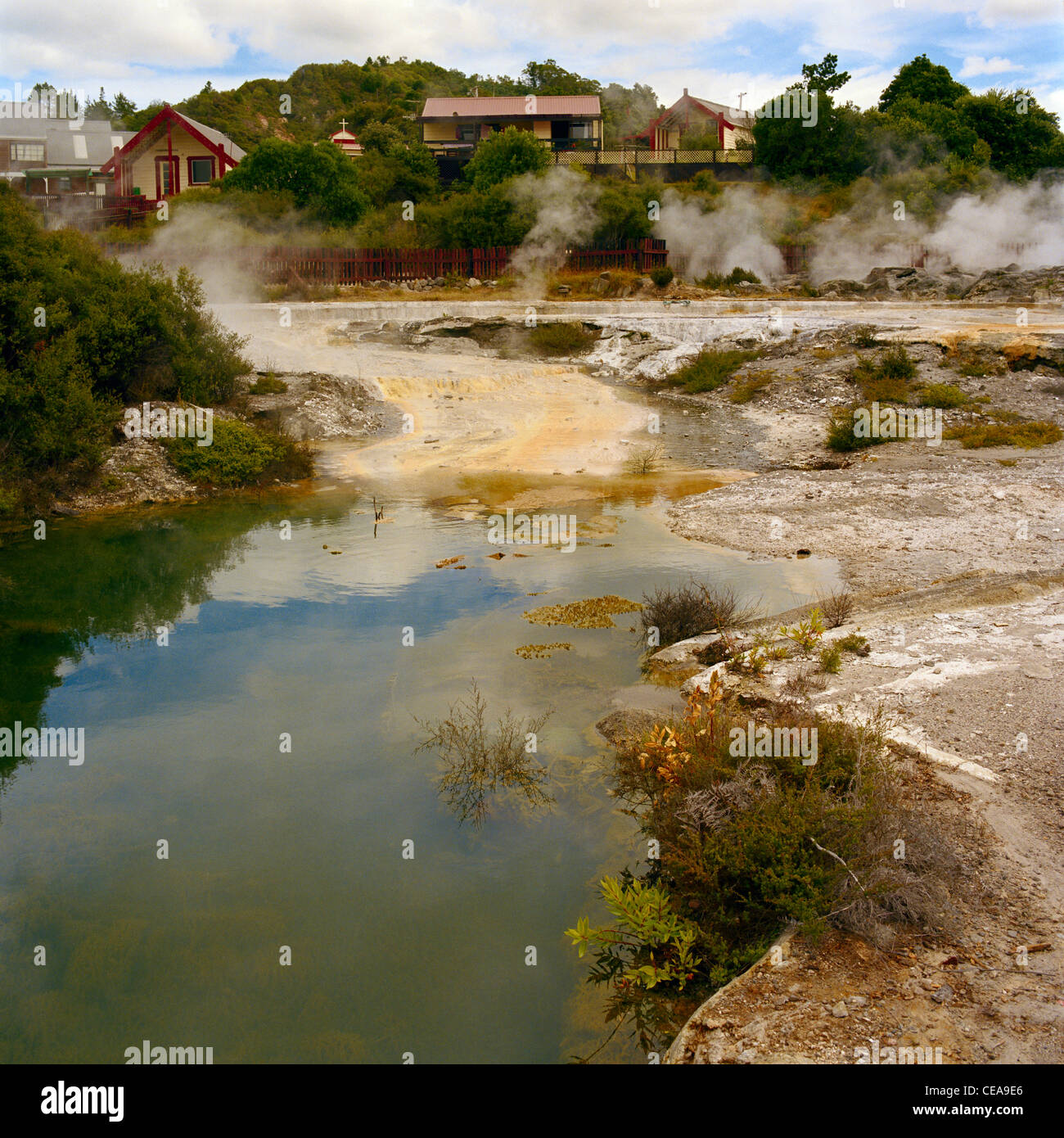 Whakarewarewa thermal reserve hi-res stock photography and images - Alamy