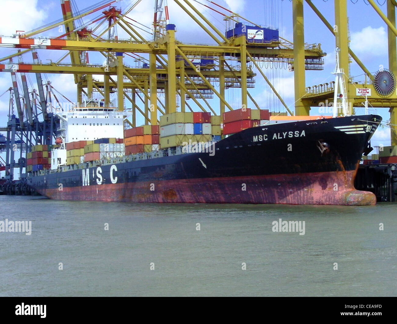 The Panamax container ship MSC Alyssa at the container terminal of ...