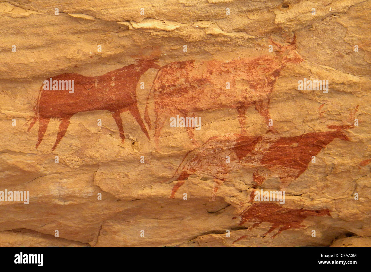Rock painting, Ennedi region, Chad Stock Photo - Alamy