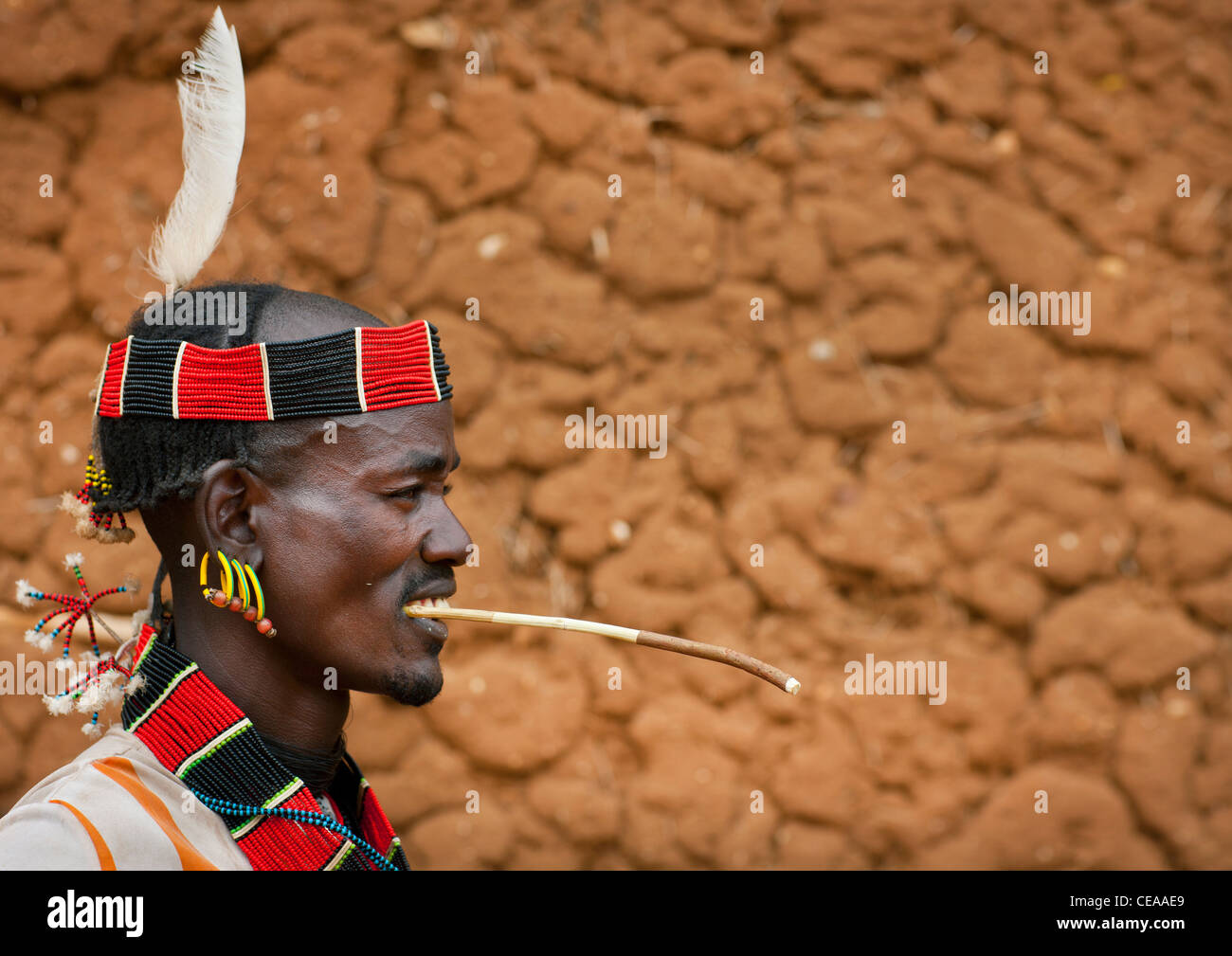 Traditionally Dressed Hamer Man With Feather Chewing Siwak Stick Omo ...