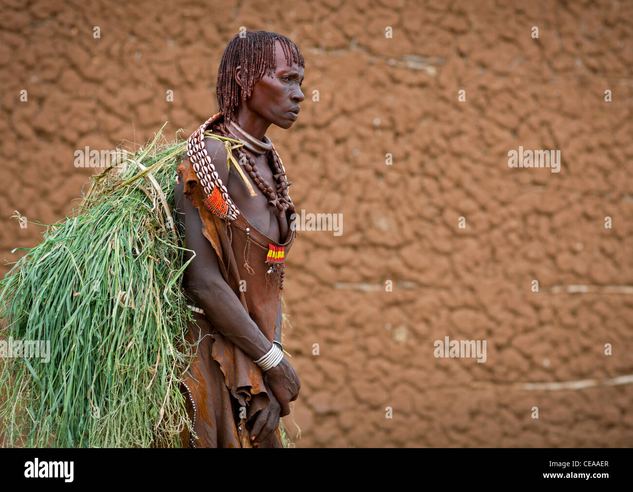 Hamer Man Carrying A Load Of Straw Wearing Skin Device Omo Valley ...