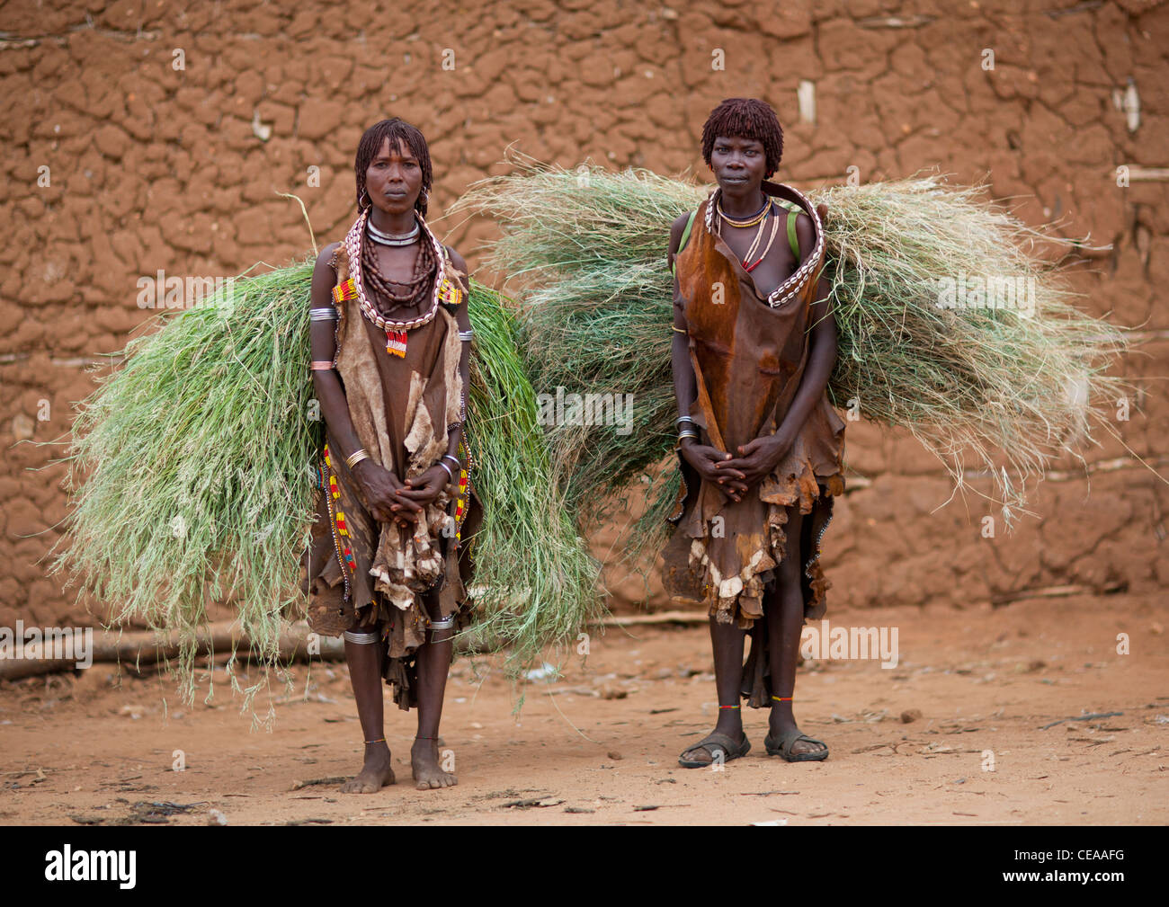 Portrait Of Couple Hamer Beautiful Women Carrying Load Of Straw Posing ...