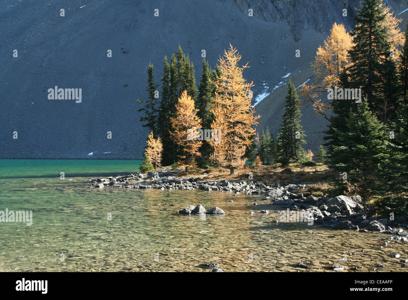 Rocky shore and lake stones,Chester Lake trailCanadian Rockies ...