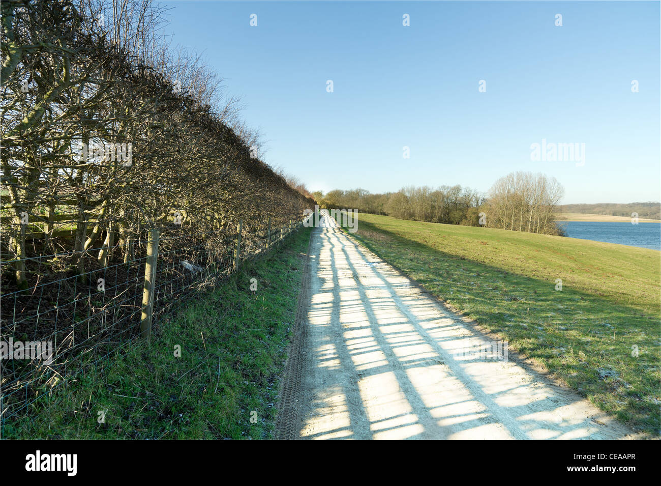 Path in an english country park Stock Photo - Alamy