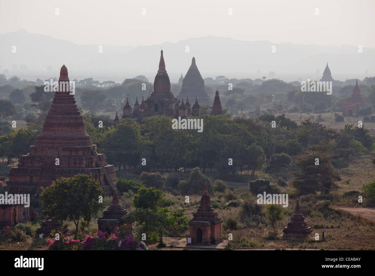 Valley of thousands Buddhist pagodas in Bagan, Burma Stock Photo - Alamy