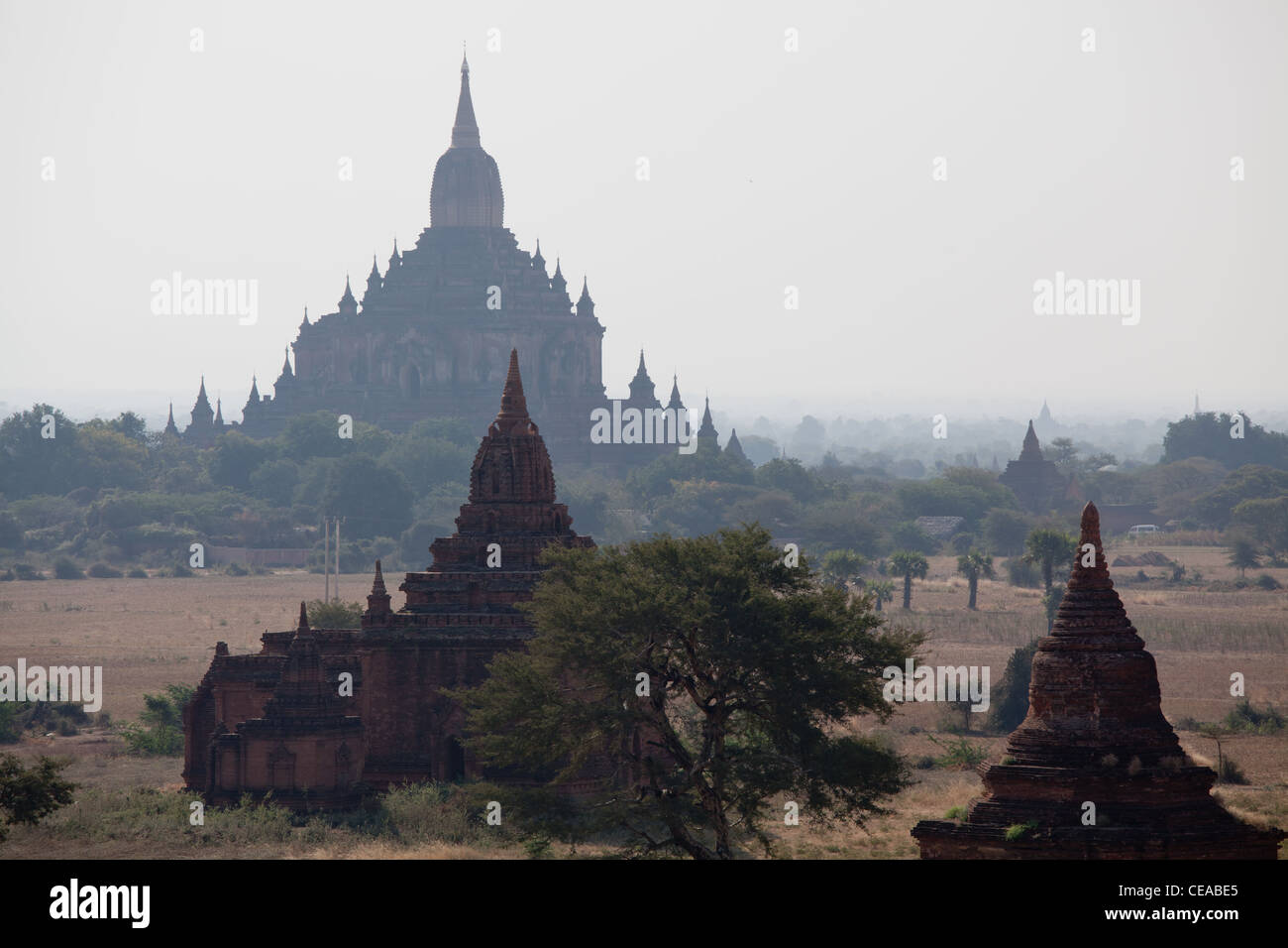 Valley of thousands Buddhist pagodas in Bagan, Burma Stock Photo - Alamy