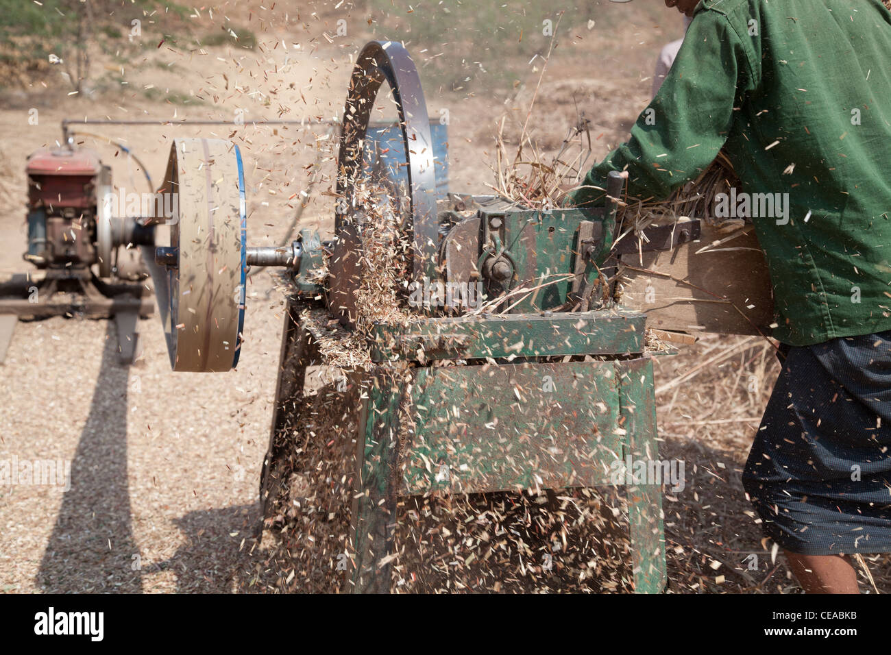 Harvest cutting machine hi-res stock photography and images - Alamy