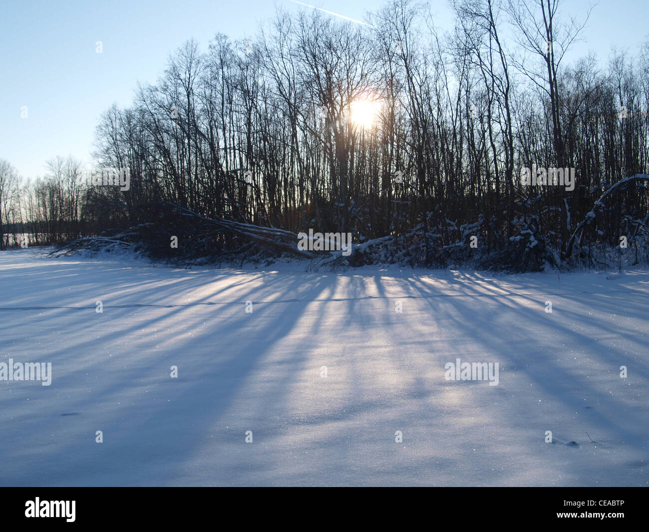 wintertime, sunny day, patterns, chilly day Stock Photo - Alamy