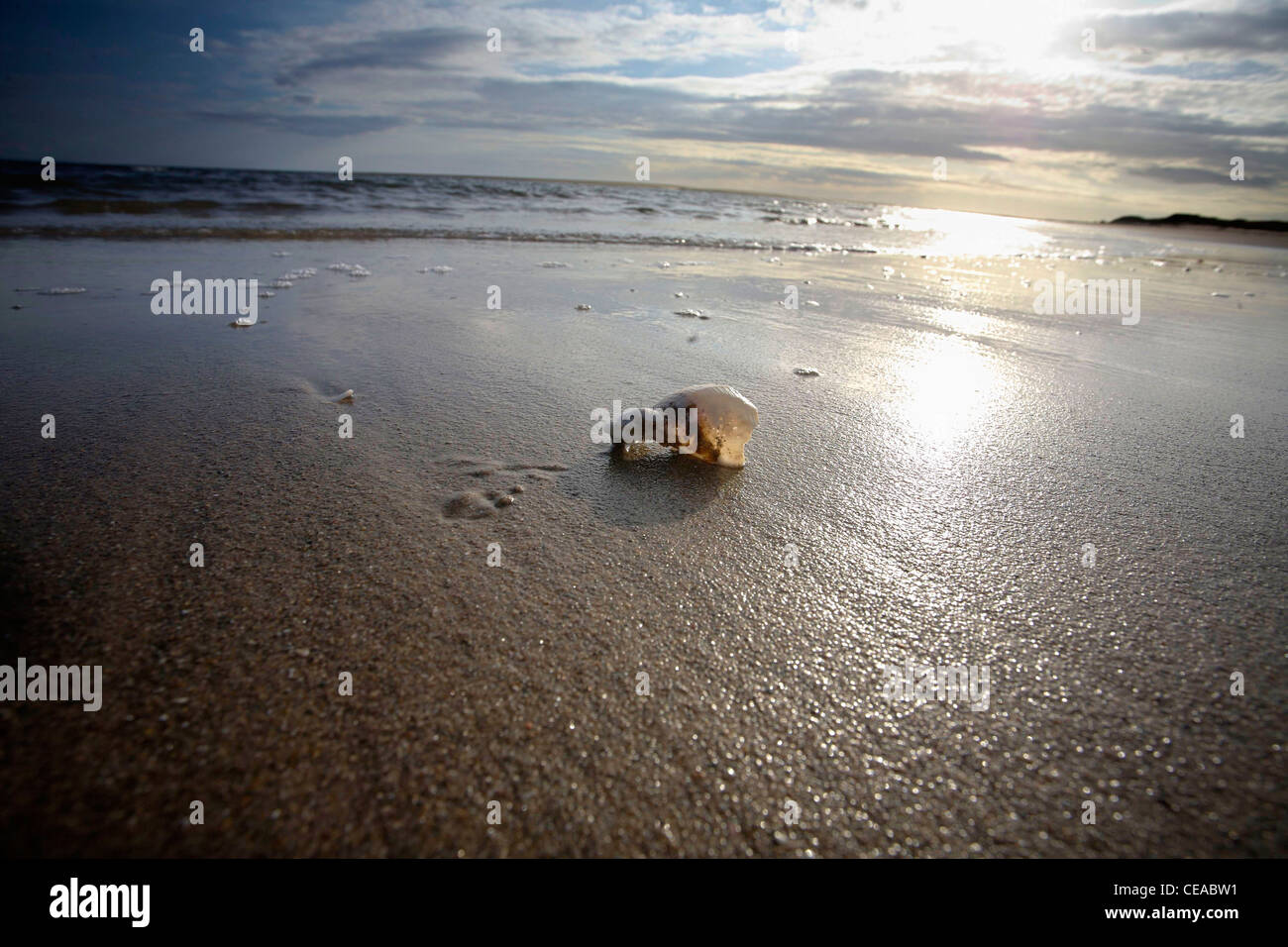 Wet sand reflections hi-res stock photography and images - Alamy