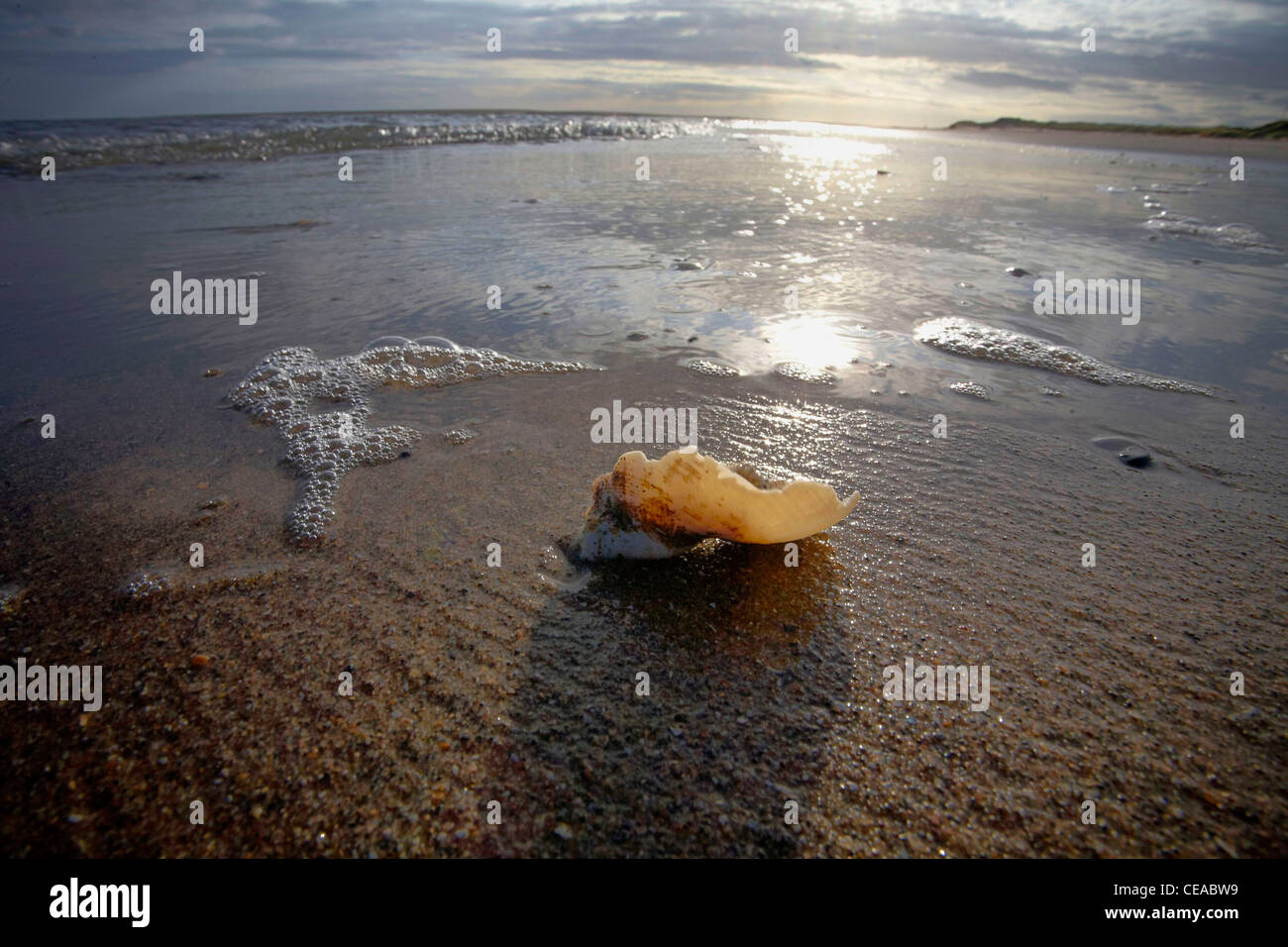 Wet sand reflections hi-res stock photography and images - Alamy