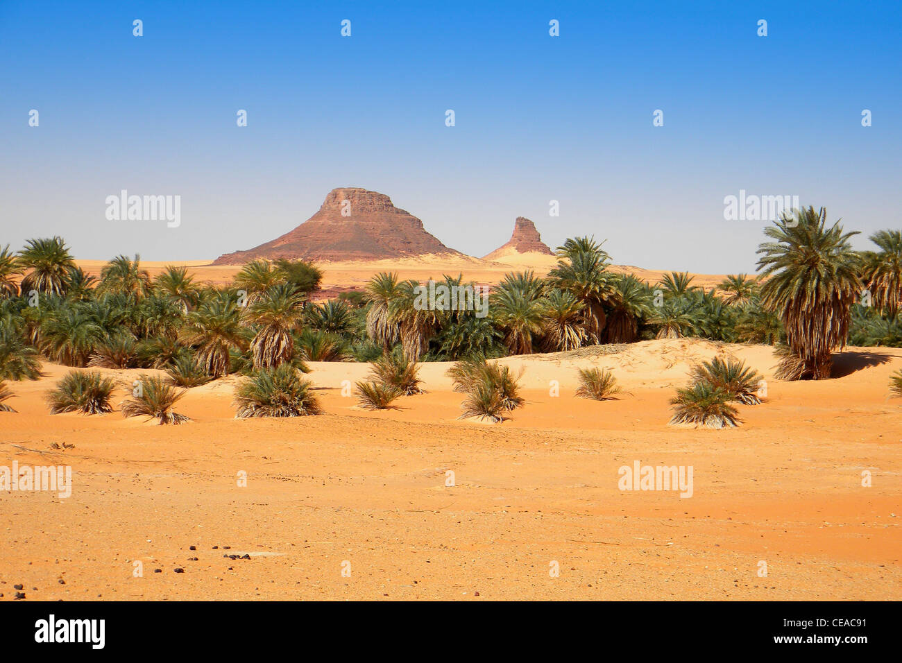 Oasis sahara chad hi-res stock photography and images - Alamy