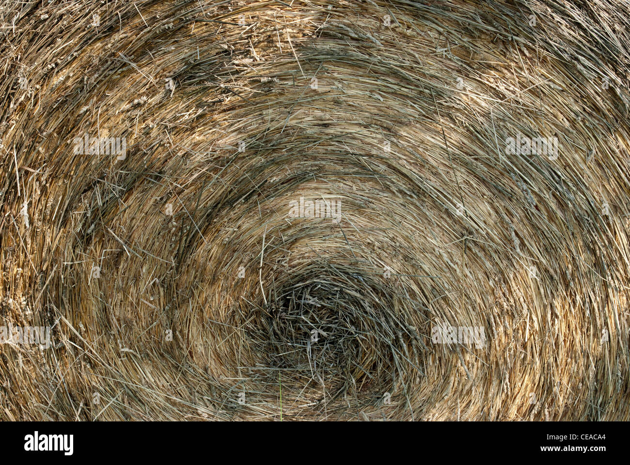 Rolled hay bale in farm field Stock Photo - Alamy