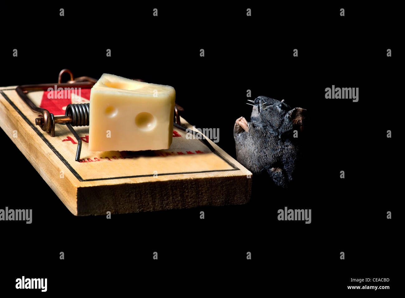 Praying mouse hi-res stock photography and images - Alamy