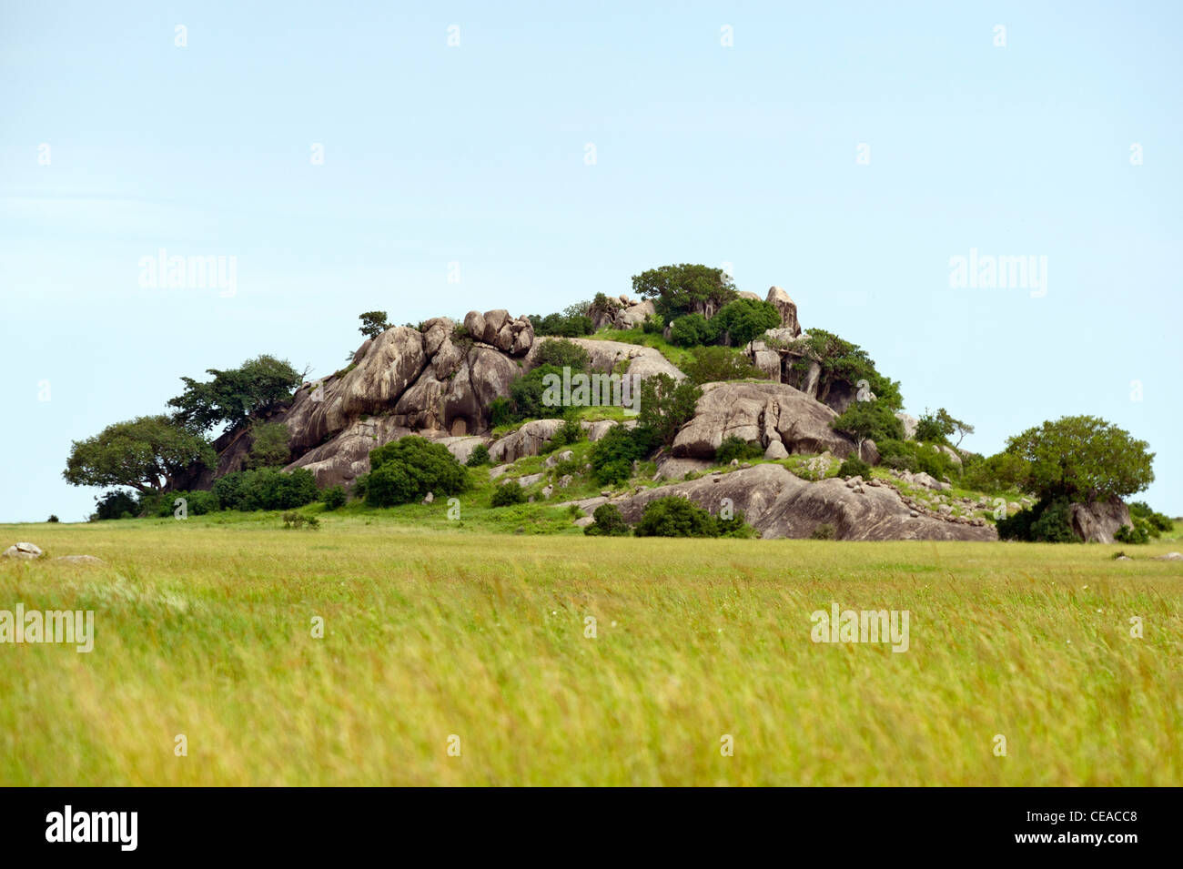 Kopje serengeti hi-res stock photography and images - Alamy