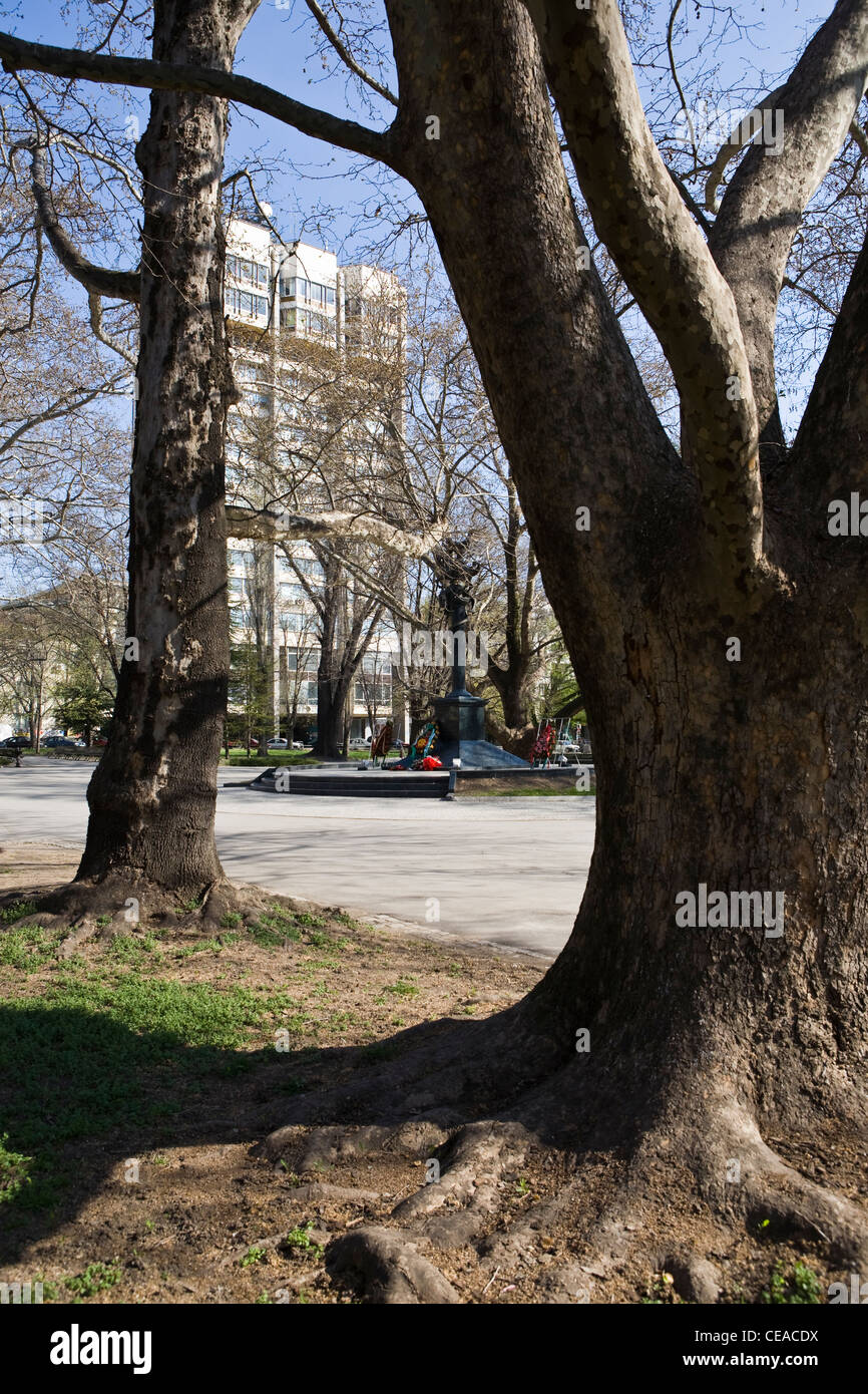 Trees, trunks in a park, place to walk at Stara Zagora, early spring ...