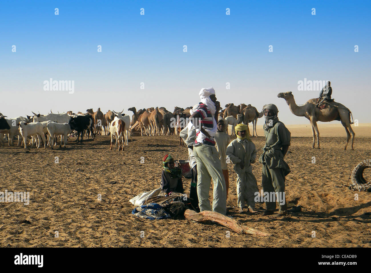 Arab tribe, Bahar el Gazal, Chad Stock Photo - Alamy