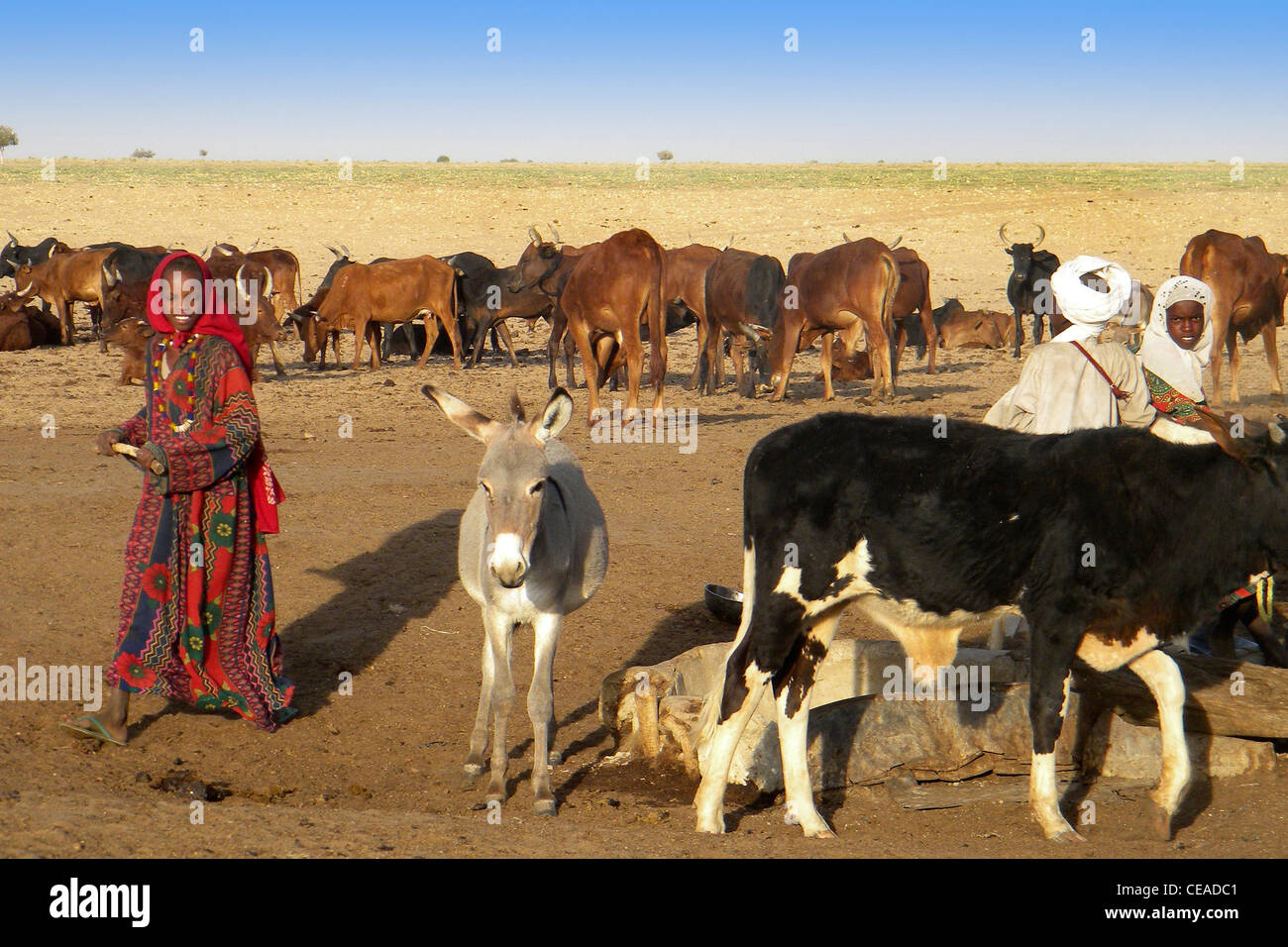 Arab tribe, Bahar el Gazal, Chad Stock Photo - Alamy