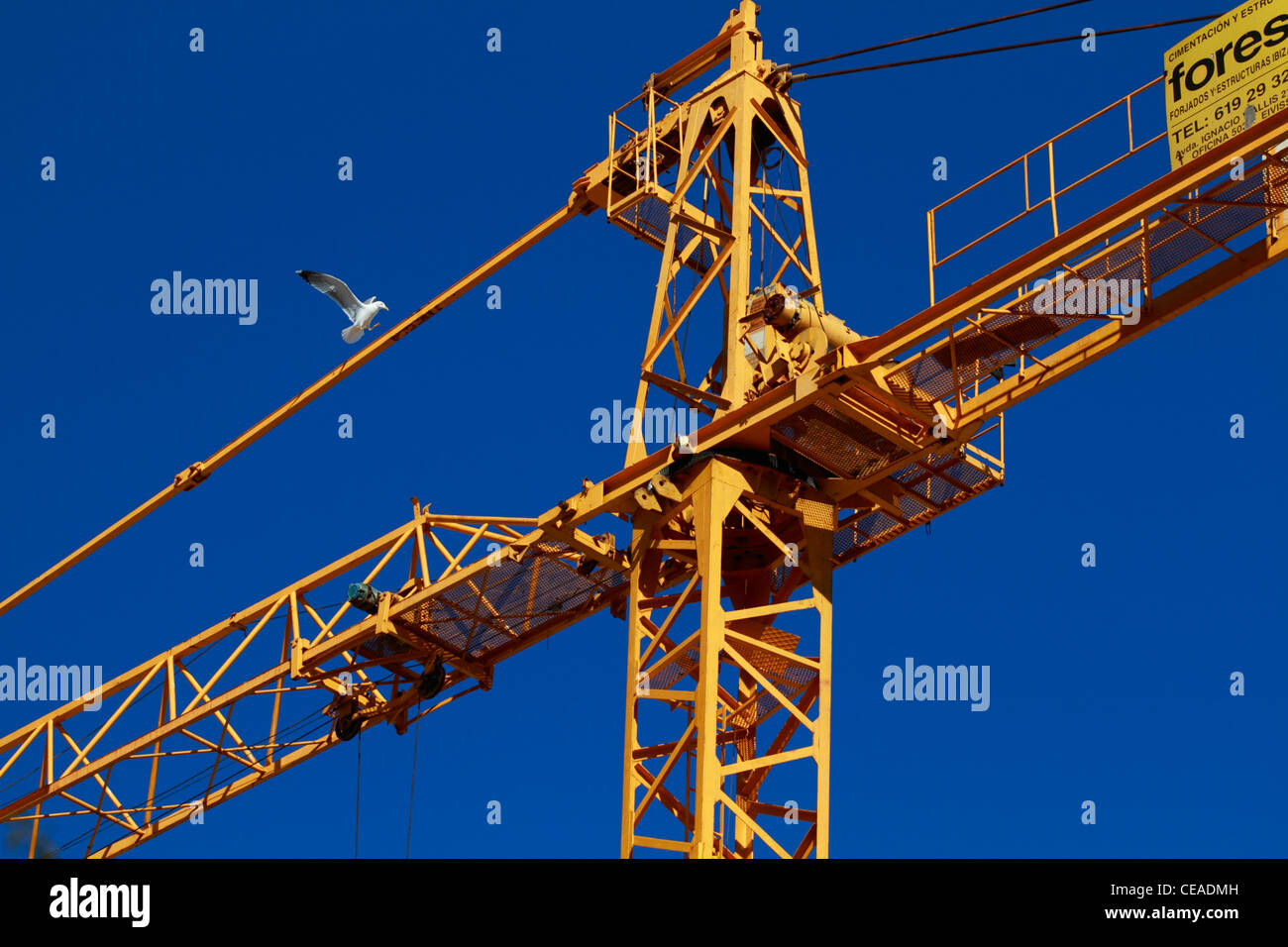 Construction crane, detail view Stock Photo - Alamy