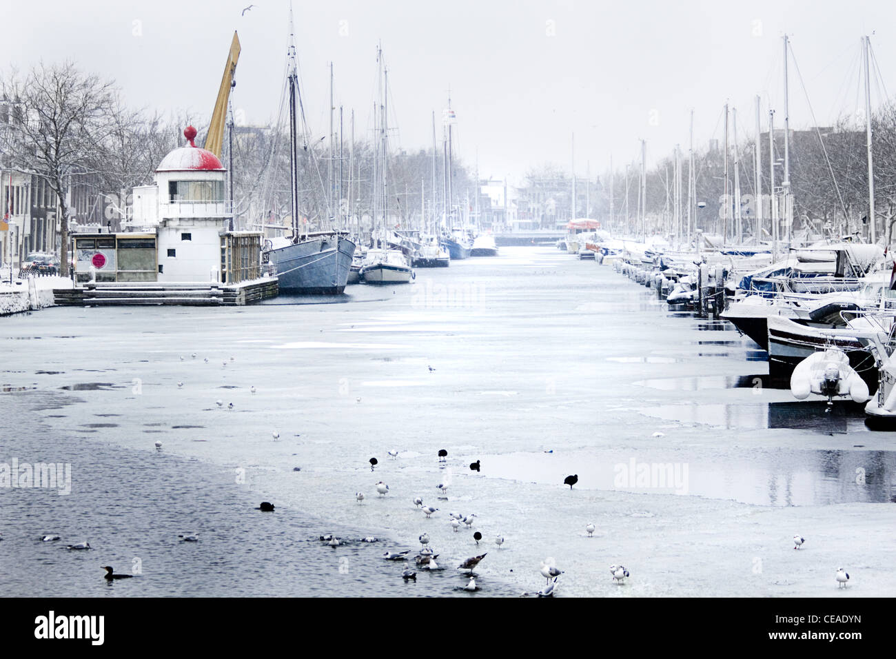 Snow in the city - harbor in winter, it is snowing - horizontal image ...