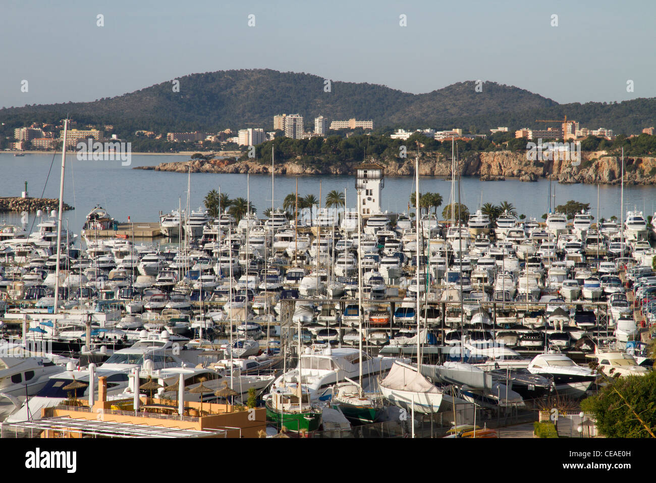 Port Portals harbor boats yachts moored touristic luxury view panoramic ...