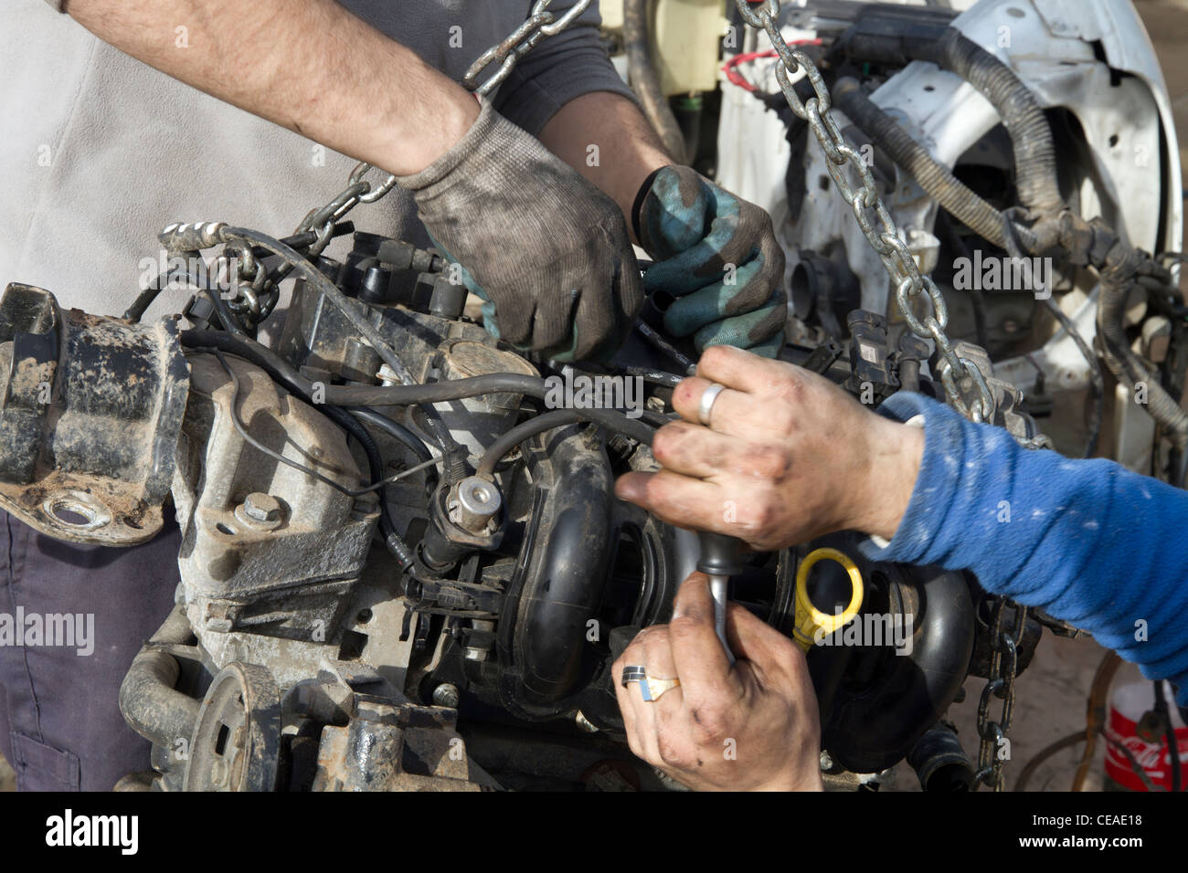 mechanical Car engine men workers repairing detail of hands Stock Photo ...