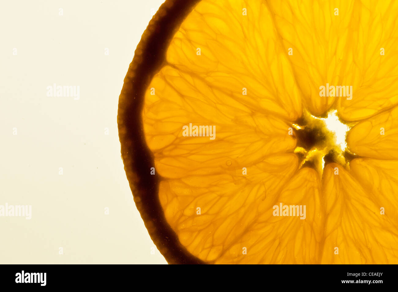 Backlit citrus fruit hi-res stock photography and images - Alamy