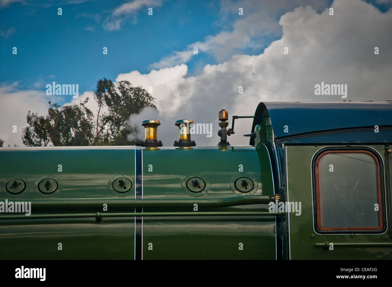 1306 Mayflower steam locomotive Stock Photo - Alamy