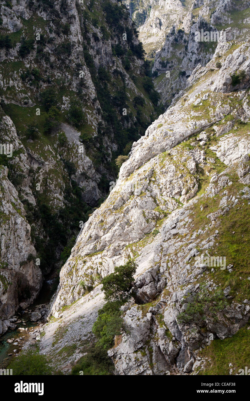 The Garganta del Cares (Cares Gorge) in the Picos de Europa Stock Photo ...