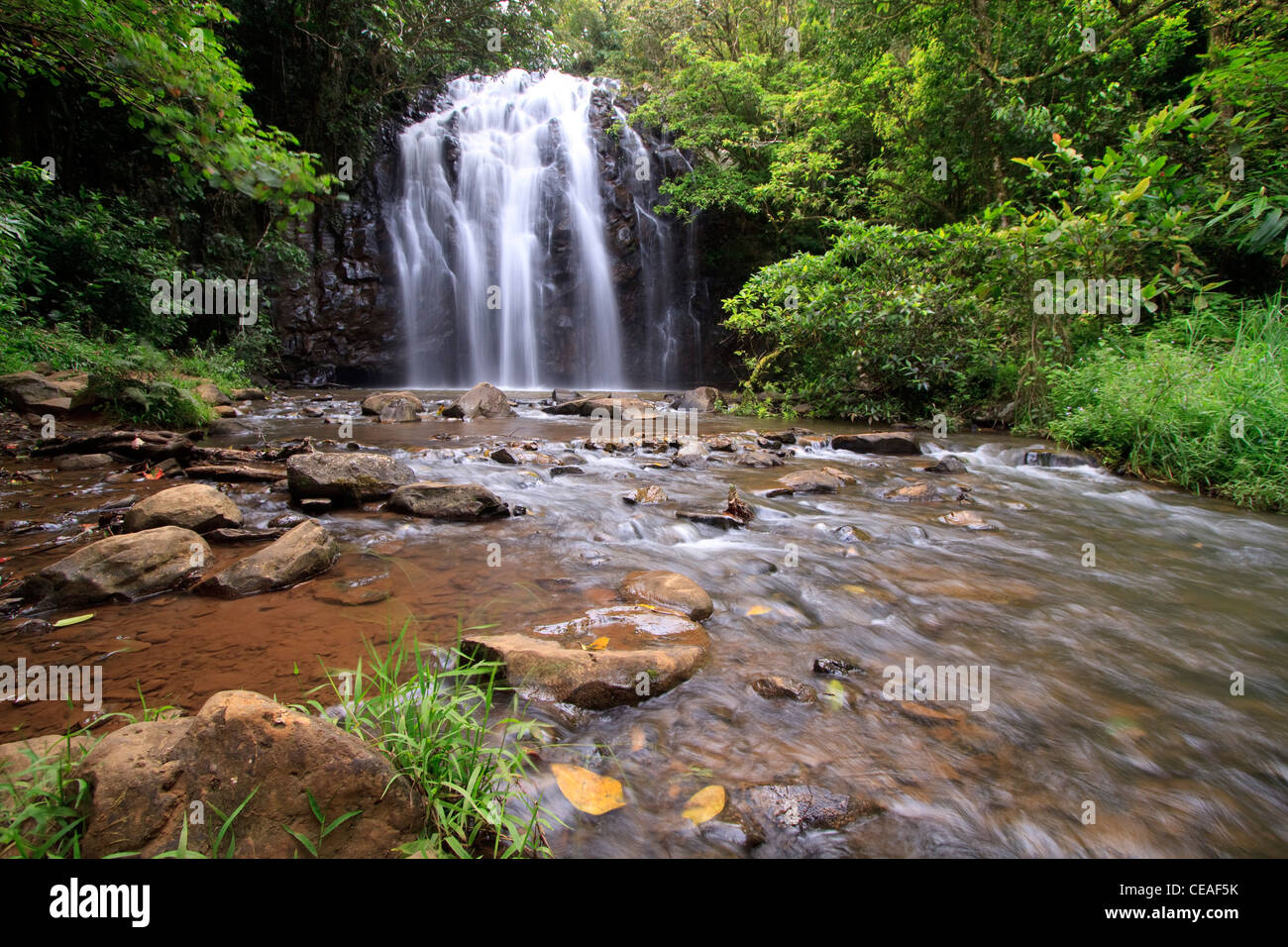 Ellinjaa Falls is one of a series of beautiful waterfalls on the ...