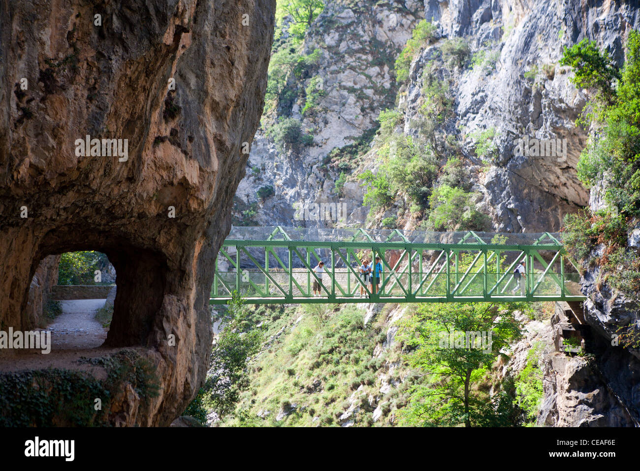 Bridge crossing in the Garganta del Cares (Cares Gorge) in the Picos de ...