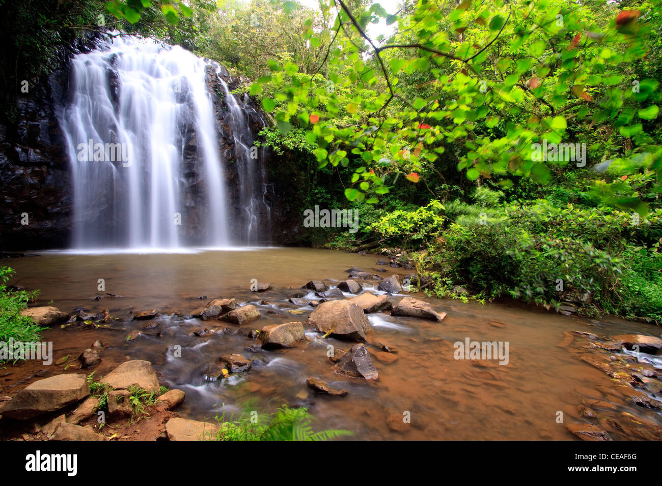Ellinjaa Falls is one of a series of beautiful waterfalls on the ...