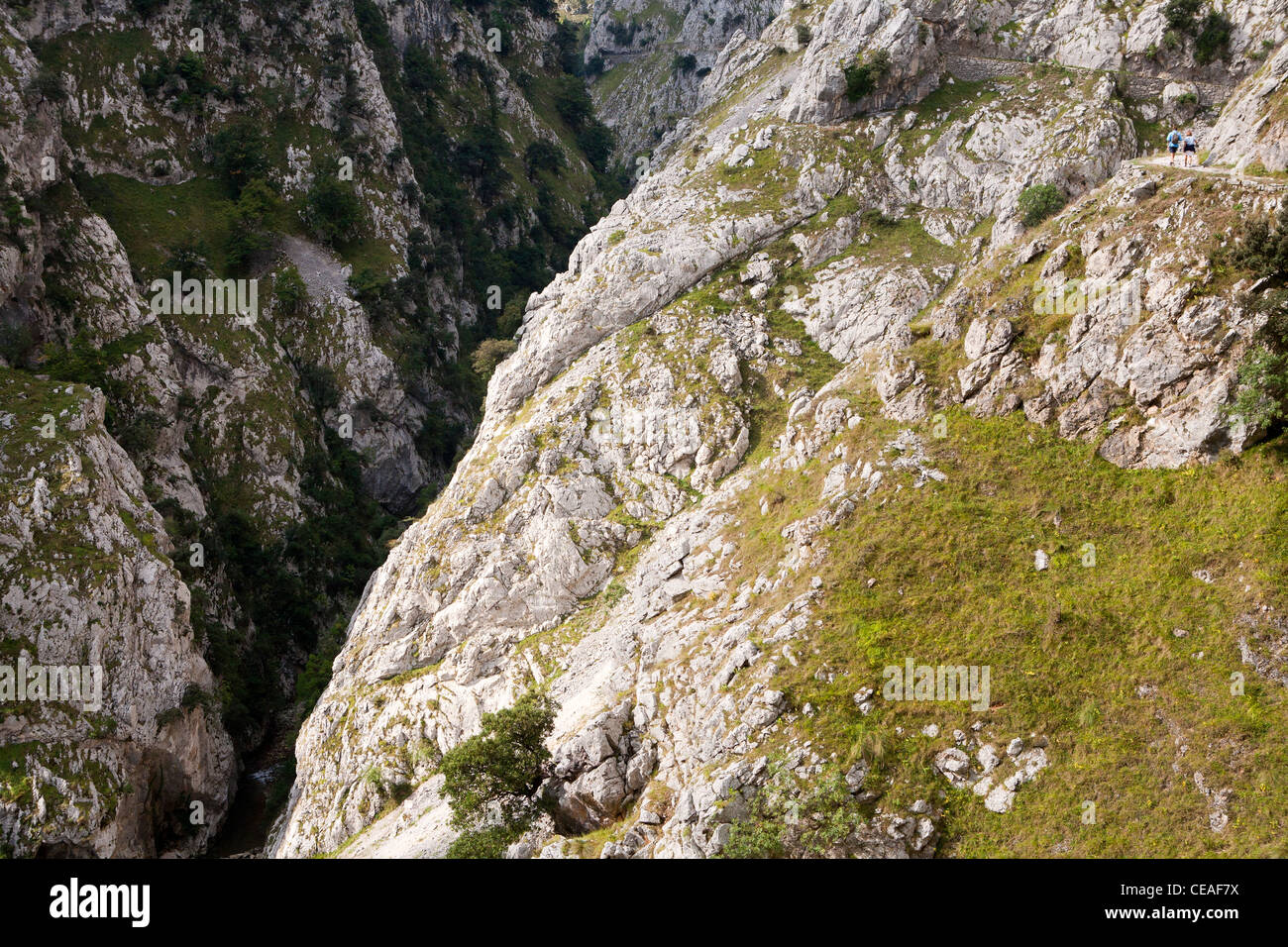 The Garganta del Cares (Cares Gorge) in the Picos de Europa Stock Photo ...