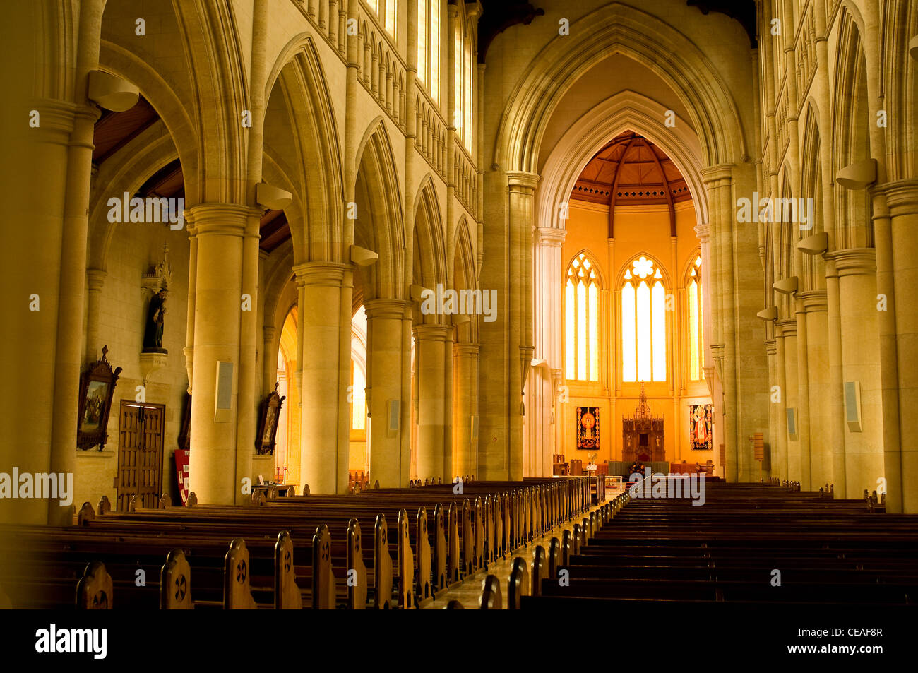 Sacred Heart Cathedral Stock Photo - Alamy