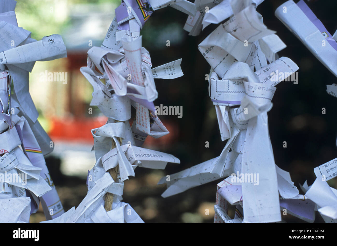 Fortune telling paper strip hi-res stock photography and images - Alamy