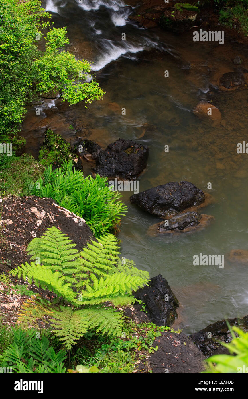 Waterfalls circuit hi-res stock photography and images - Alamy
