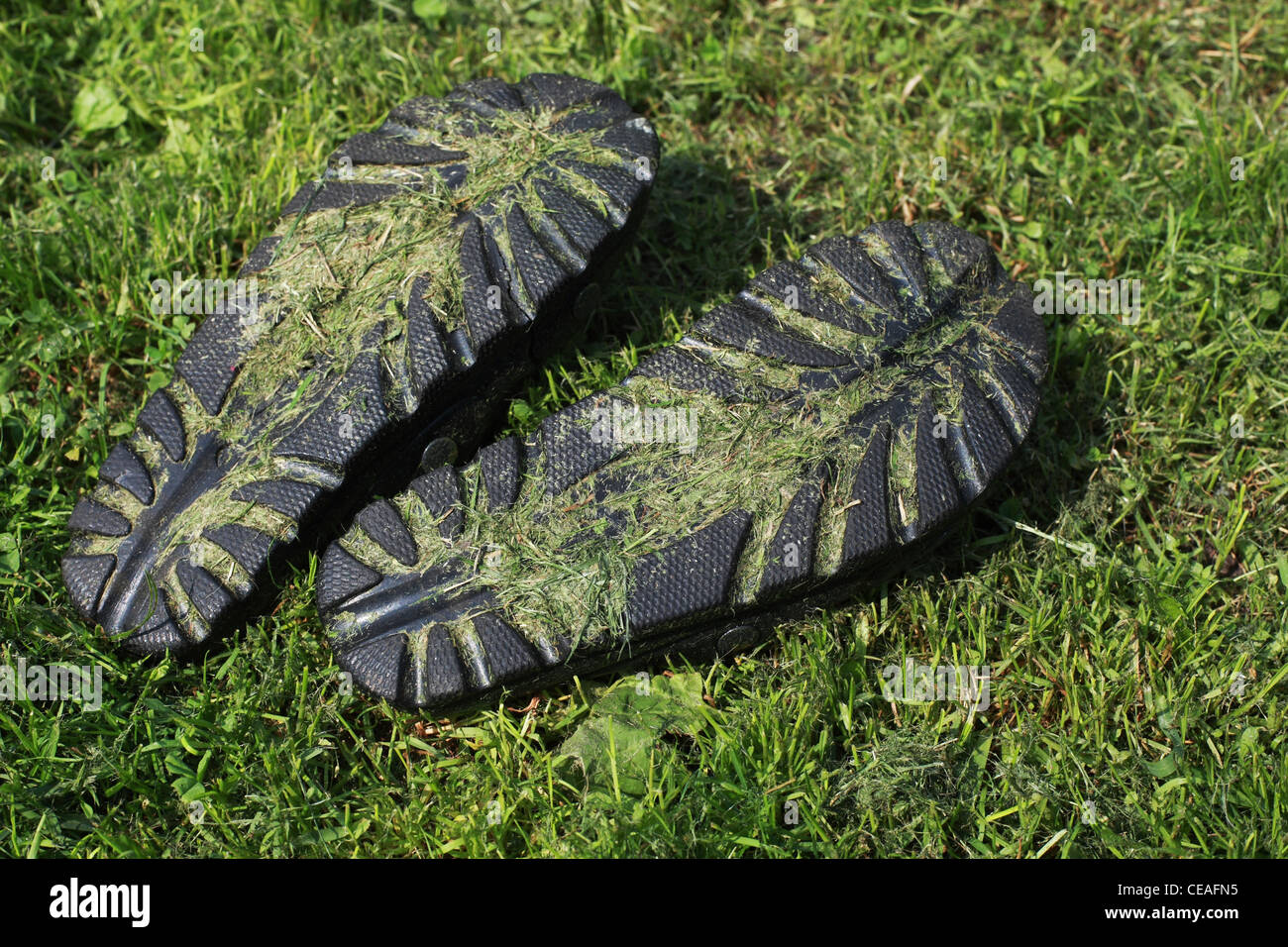 Sole slippers hi-res stock photography and images - Alamy