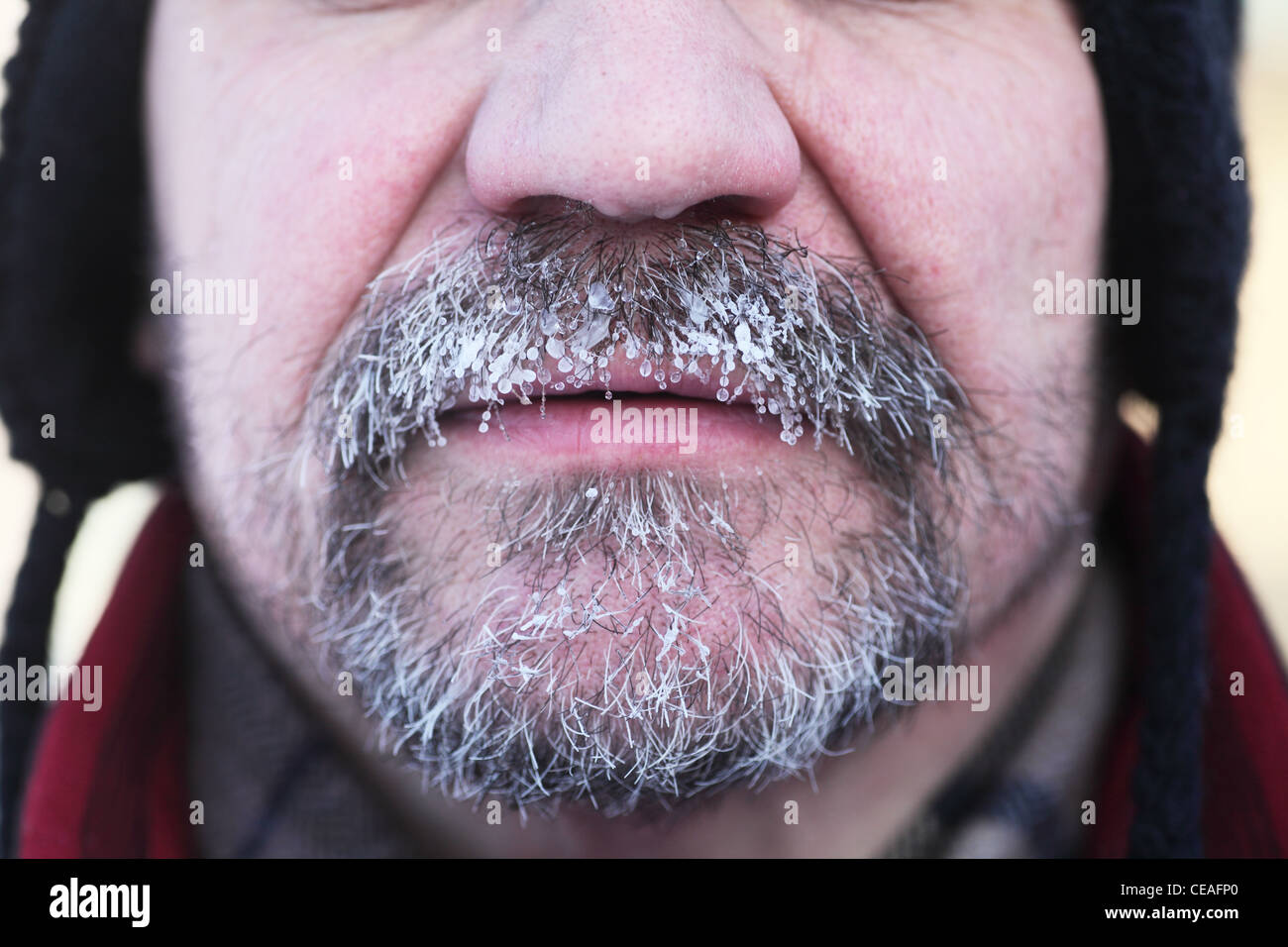 close-up of the frozen gray beard and mustache Stock Photo - Alamy