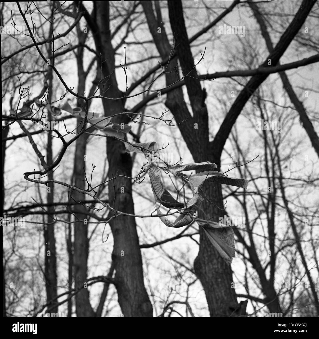 Tibetan independence movement hi-res stock photography and images - Alamy