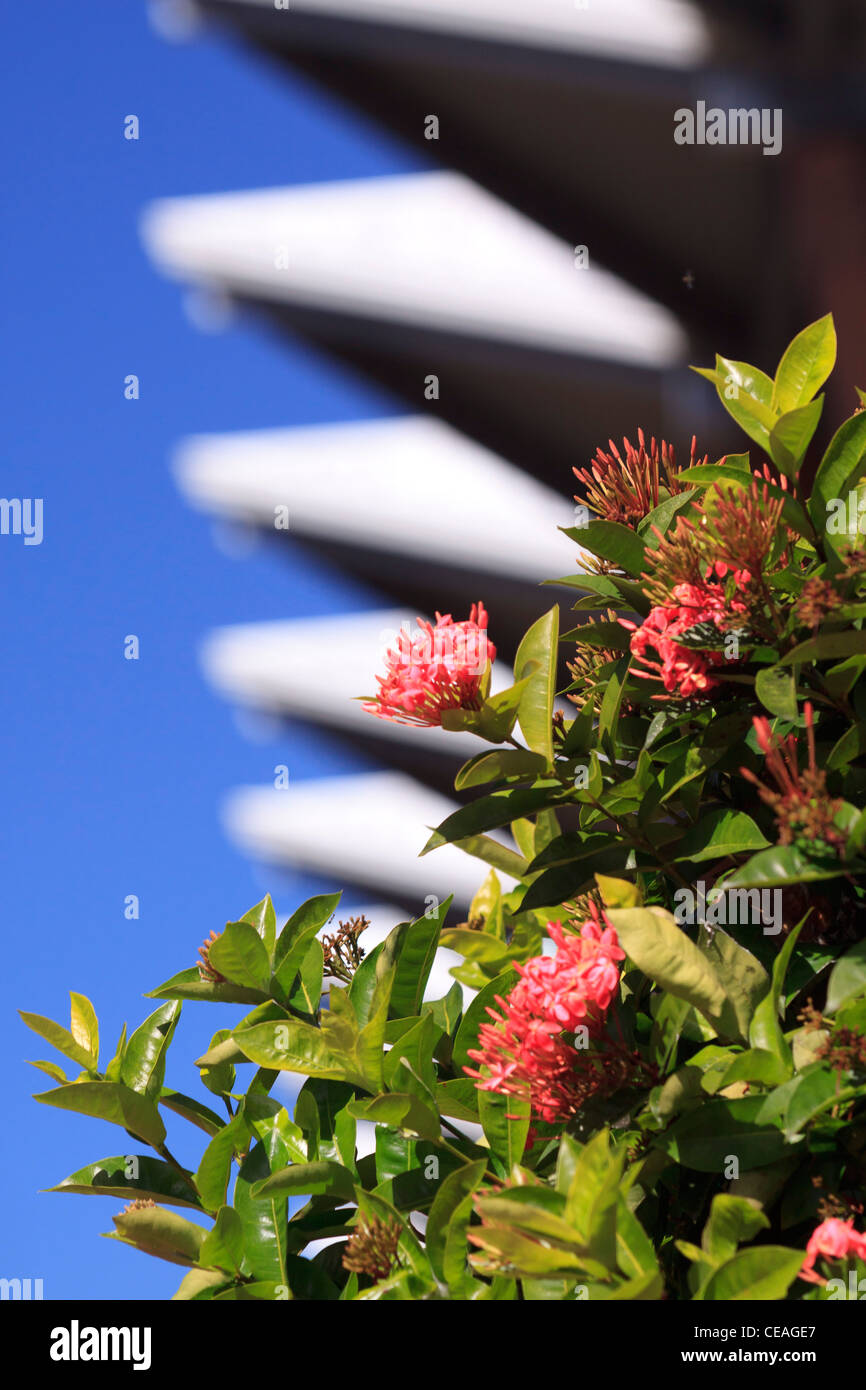 The iconic Cairns Convention Centre is host to international ...