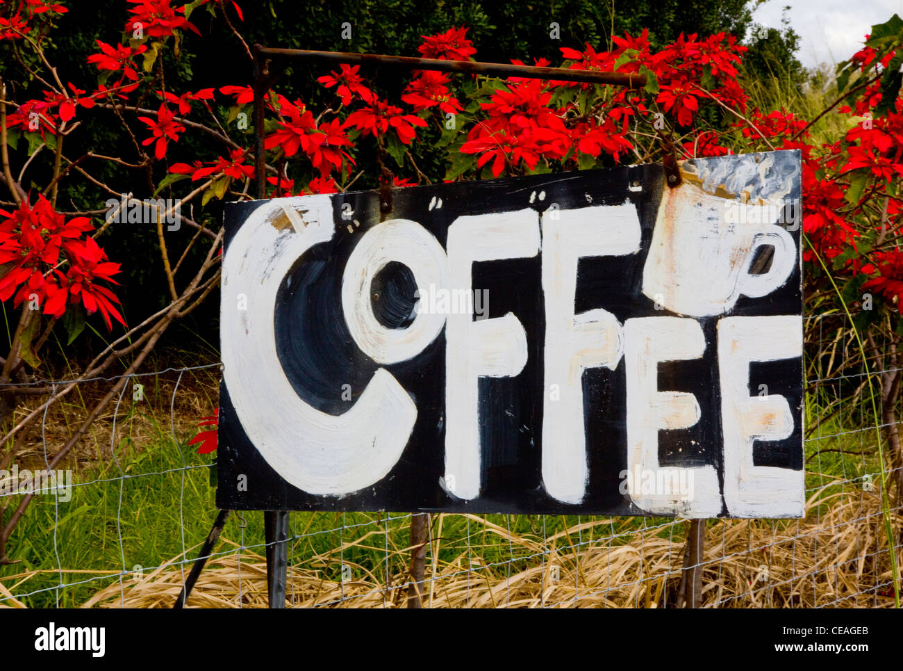 Sign at a rural coffee grower near Pahala, Big Island, Hawaii Stock ...