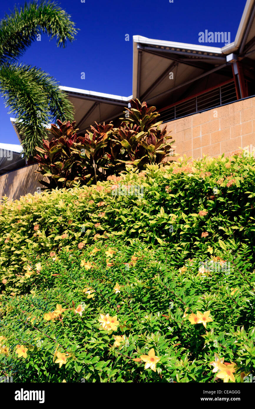 The iconic Cairns Convention Centre is host to international ...