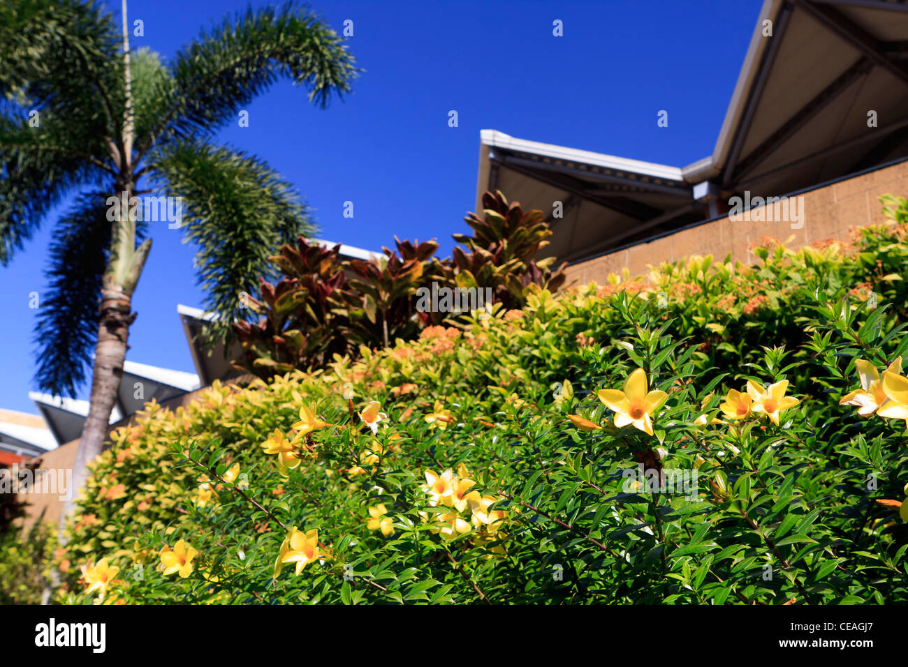 The iconic Cairns Convention Centre is host to international ...
