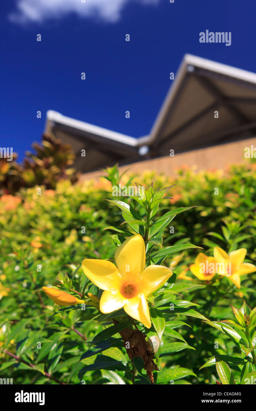The iconic Cairns Convention Centre is host to international ...