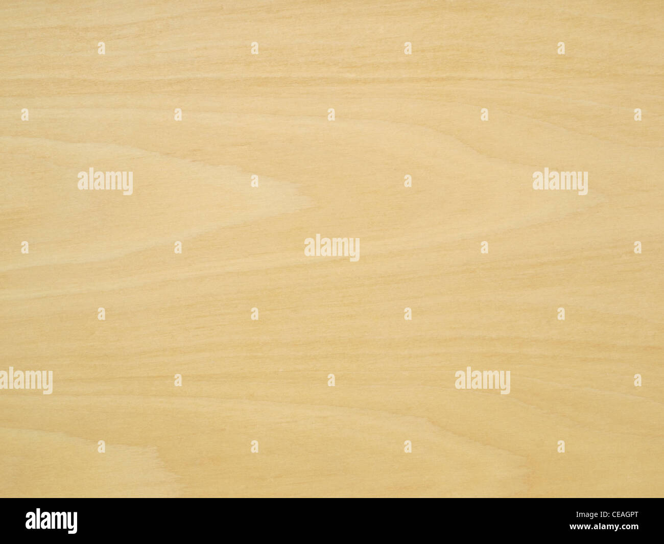 Birch plank hi-res stock photography and images - Alamy