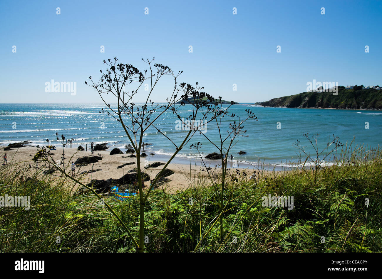 Bantham beach devon hi-res stock photography and images - Alamy