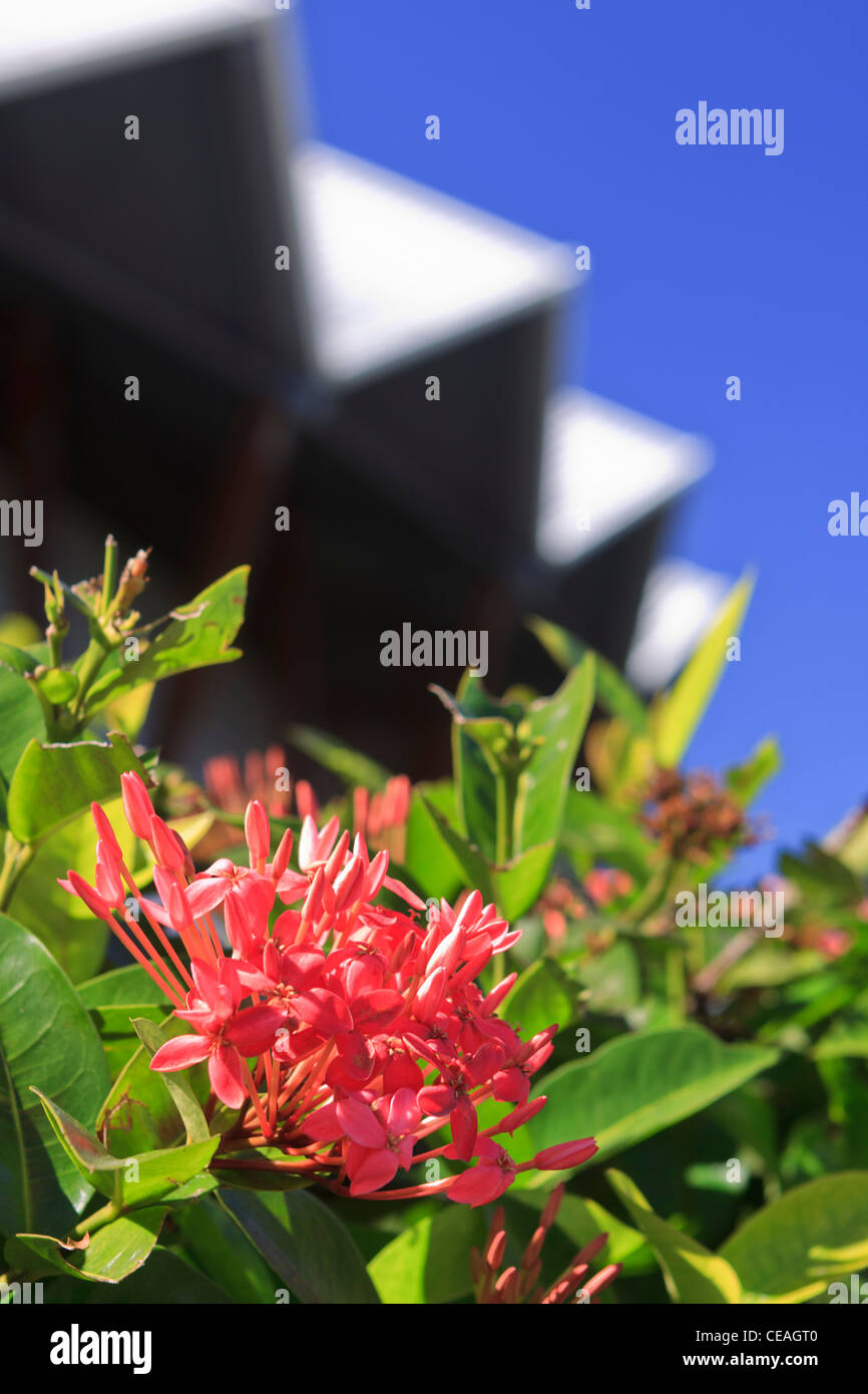 The iconic Cairns Convention Centre is host to international ...