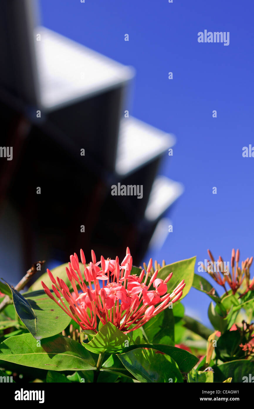 The iconic Cairns Convention Centre is host to international ...